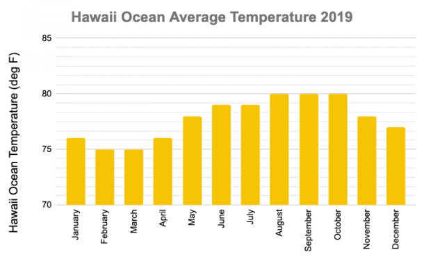 The Best Snorkeling in Hawaii by Month (plus snorkeling spots!) - The ...