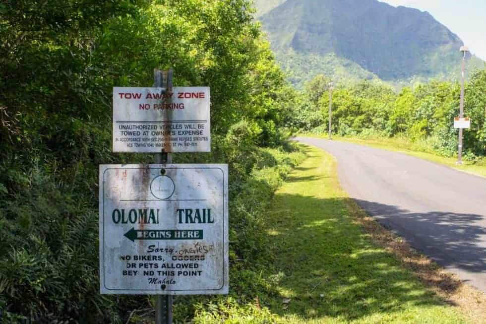 Best Hawaiian Island for Hiking (plus its 11 best trails)