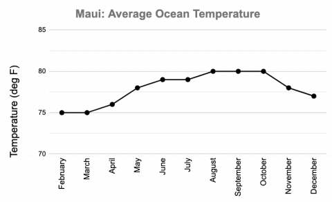 Maui in November? Here’s Everything You Need to Know - The Hawaii ...