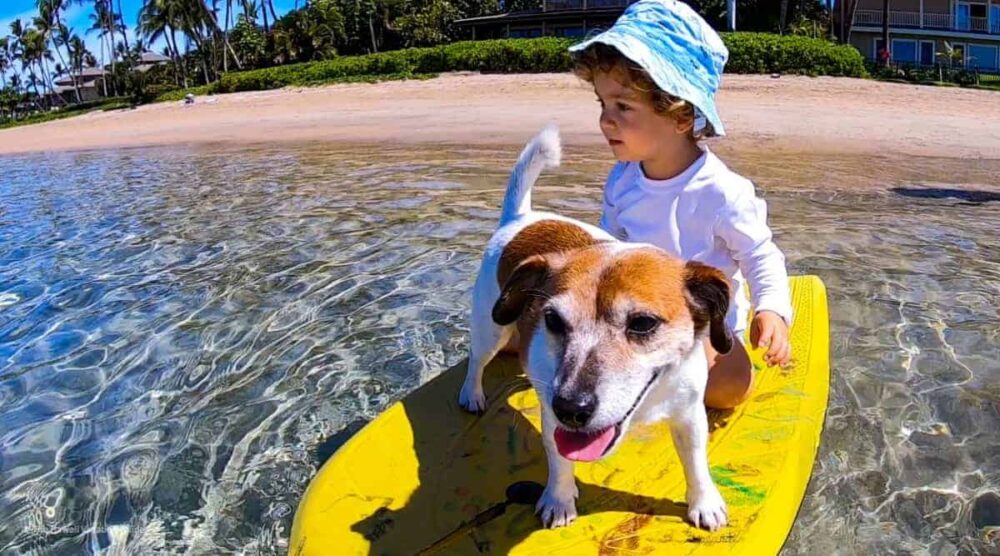 The 7 Best Beaches for Kids on Maui (from a Maui family) - The Hawaii ...