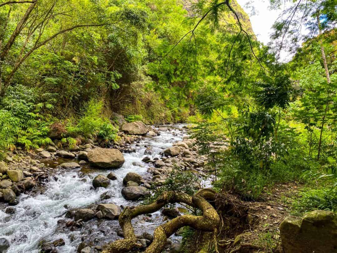 3 Easy Maui Hikes (plus a bonus historic walk) - The Hawaii Vacation Guide