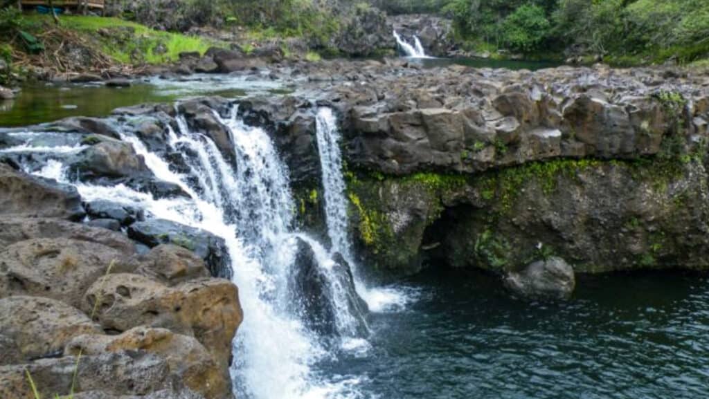 Zip & Dip with The Umauma Experience - The Hawaii Vacation Guide