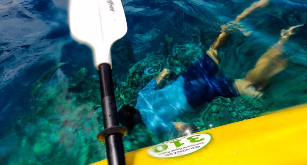 Guided Kayak and Snorkel to Captain Cook Monument - The Hawaii Vacation ...