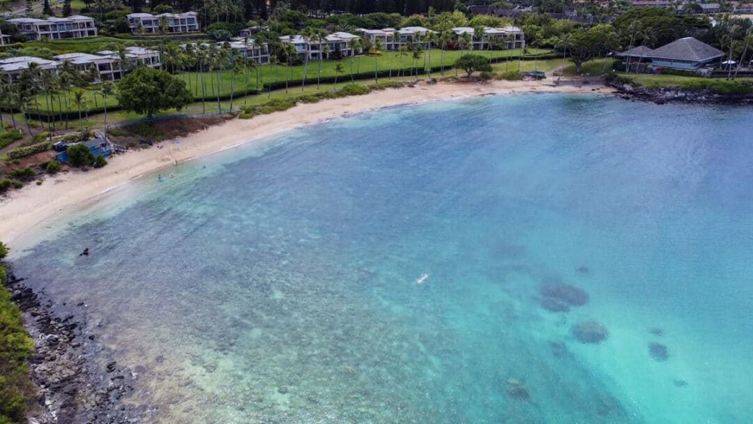 The 9 Best Beaches in Lahaina and West Maui - The Hawaii Vacation Guide