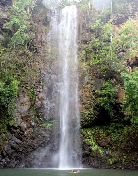 Wailua River Kayak and Hike to Secret Falls - The Hawaii Vacation Guide