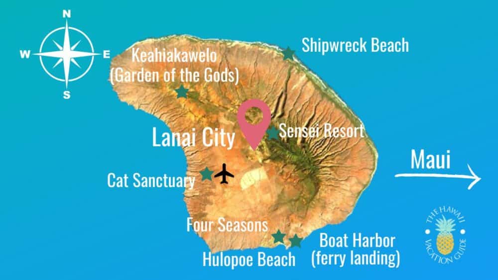 25 Best Things to Do on Lanai: Lanai Cat Sanctuary Details & More
