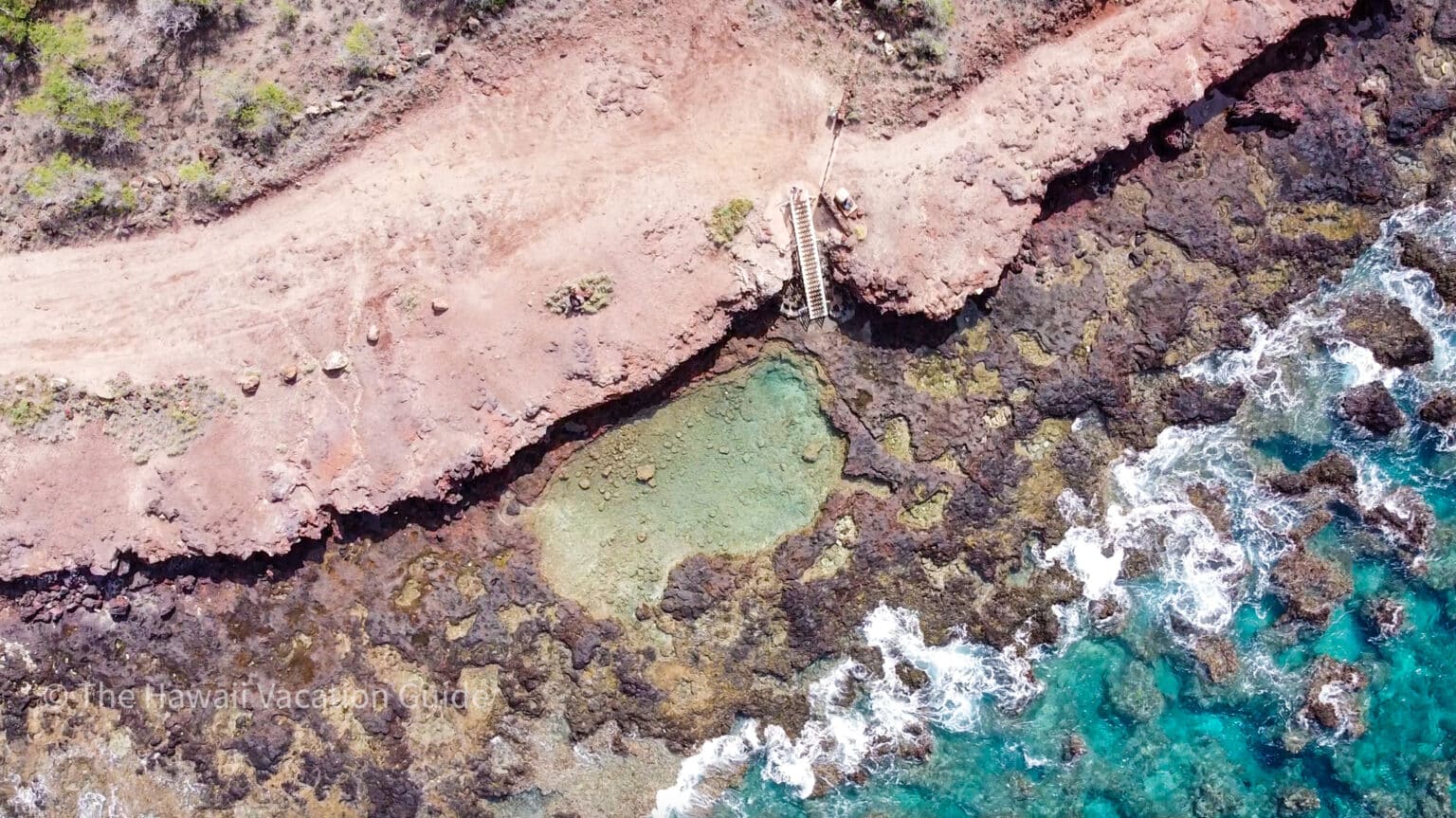 25 Best Things to Do on Lanai: Lanai Cat Sanctuary Details & More