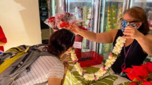 Best Hawaii Lei Greeting at Honolulu Airport & All the Islands (+ lei ...