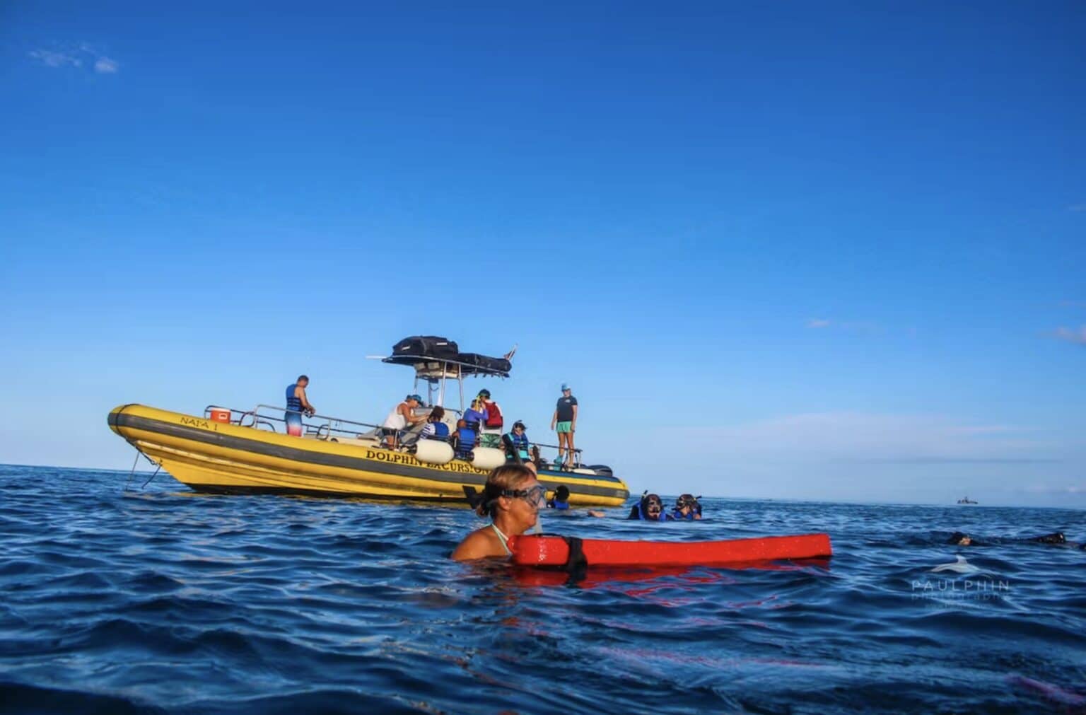West Oahu Dolphin Encounter and Snorkel (10% Off!) - The Hawaii ...