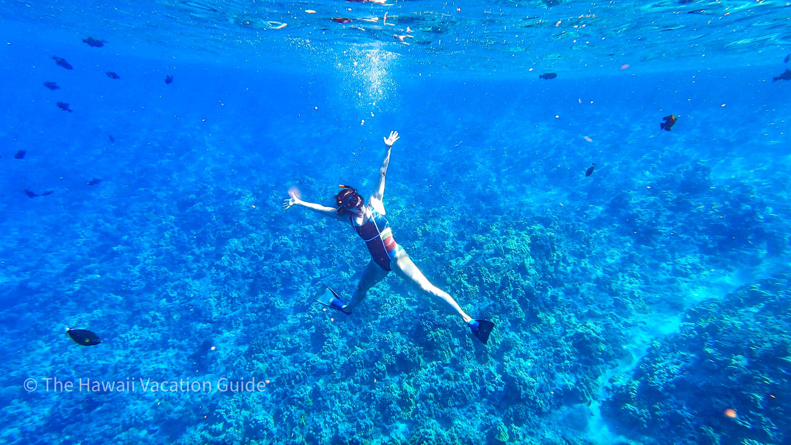 The 59 Best Things to Do in Hawaii: Your Ultimate Bucket List (2024 ...