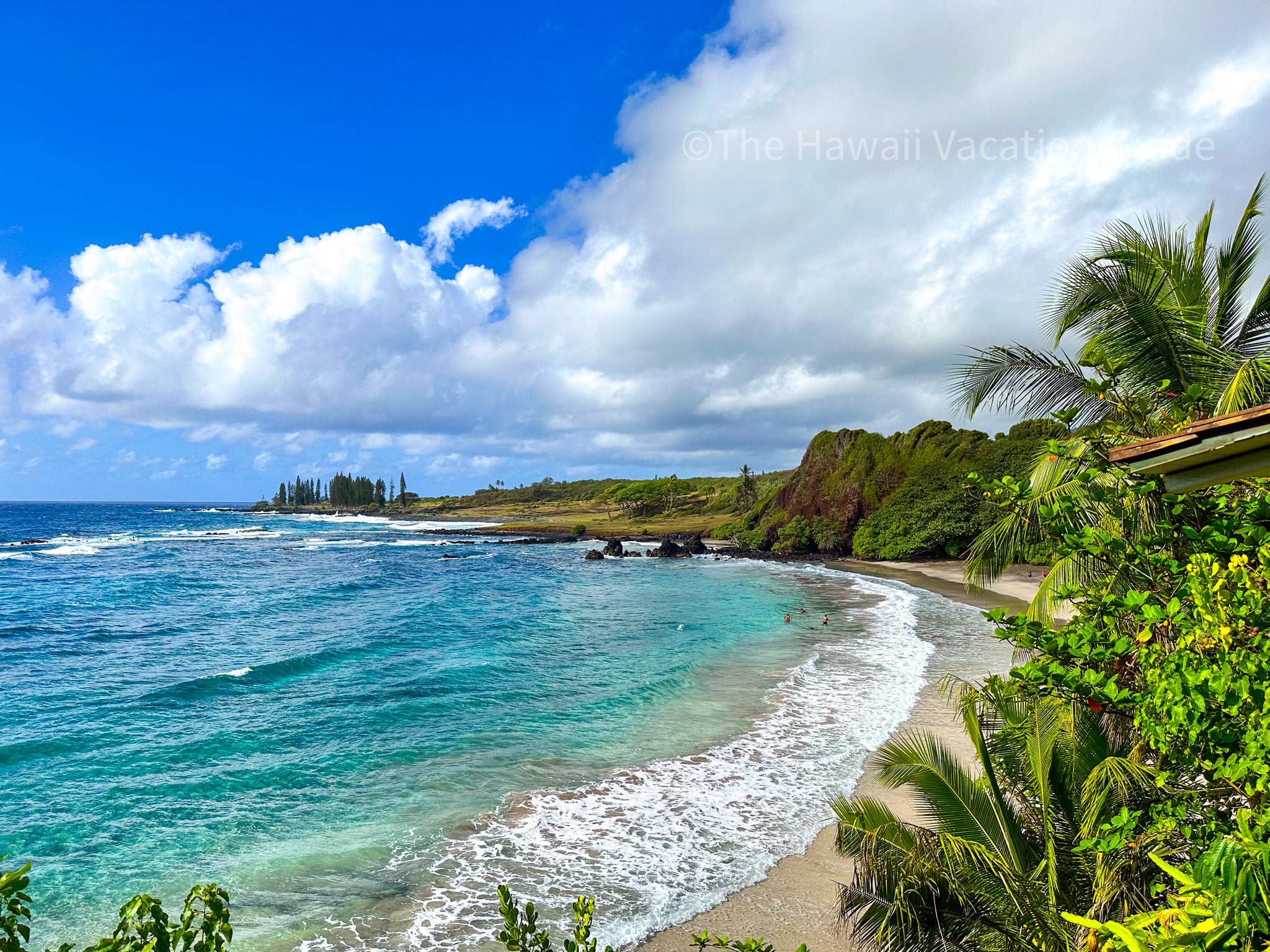 Road to Hana Guide & Itinerary: Top Stops, Tips & Safety Advice