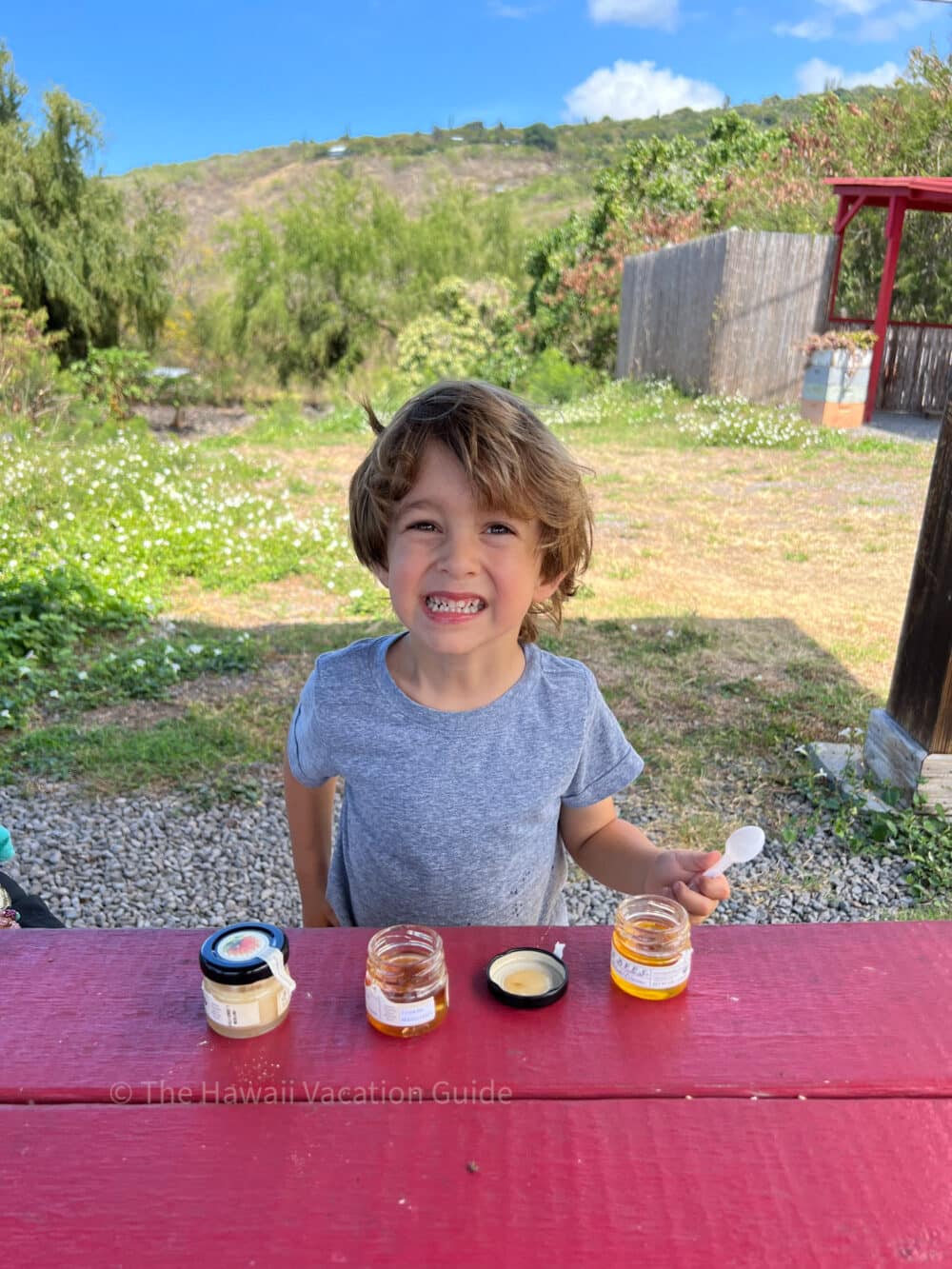 The 11 Best Big Island Farm Tours You Won't Want to Miss - The Hawaii ...