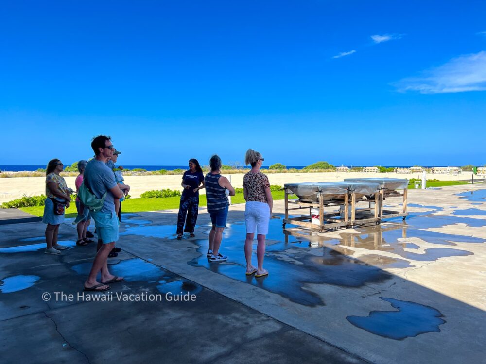 The 21 Best Things to Do in Kona (+ tips to know before you go) - The ...