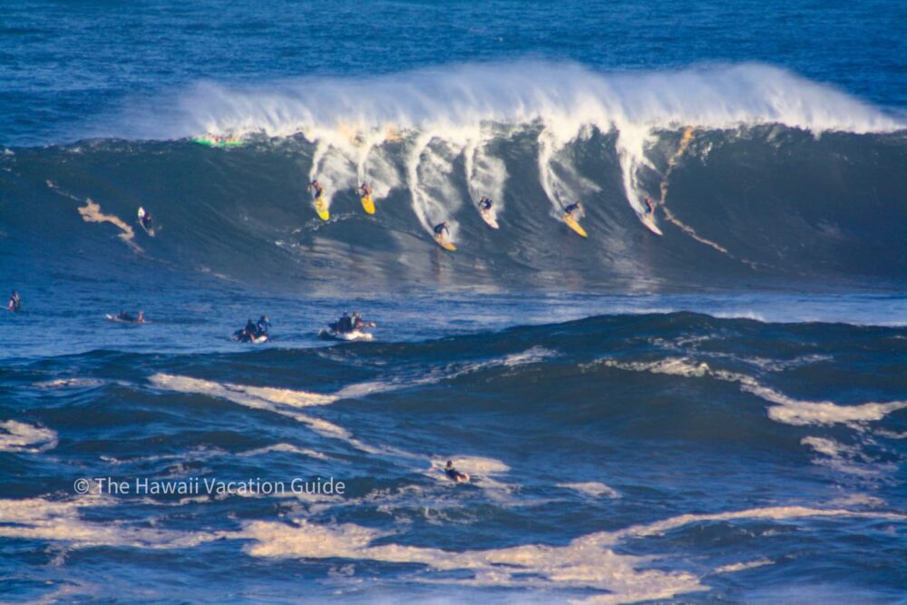 21 Amazing Things to Do on Oahu's North Shore - The Hawaii Vacation Guide