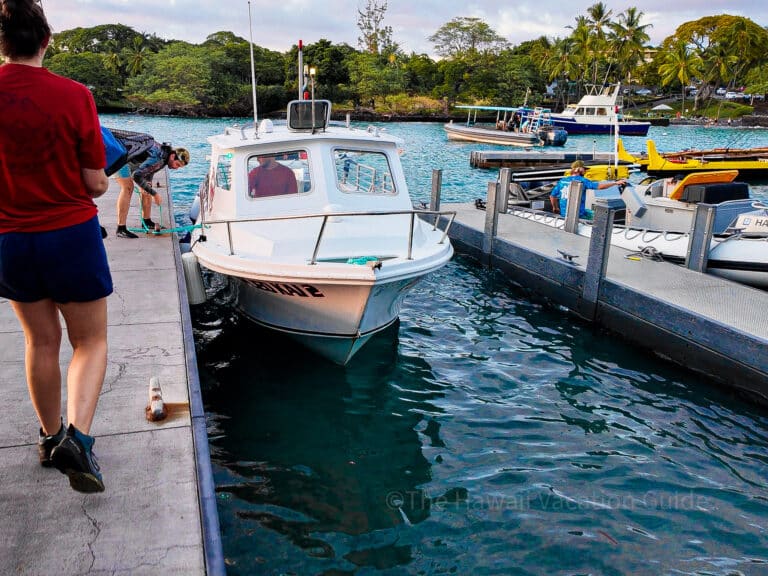 Manta Ray Night Snorkel from Manta Village (small group) - The Hawaii ...