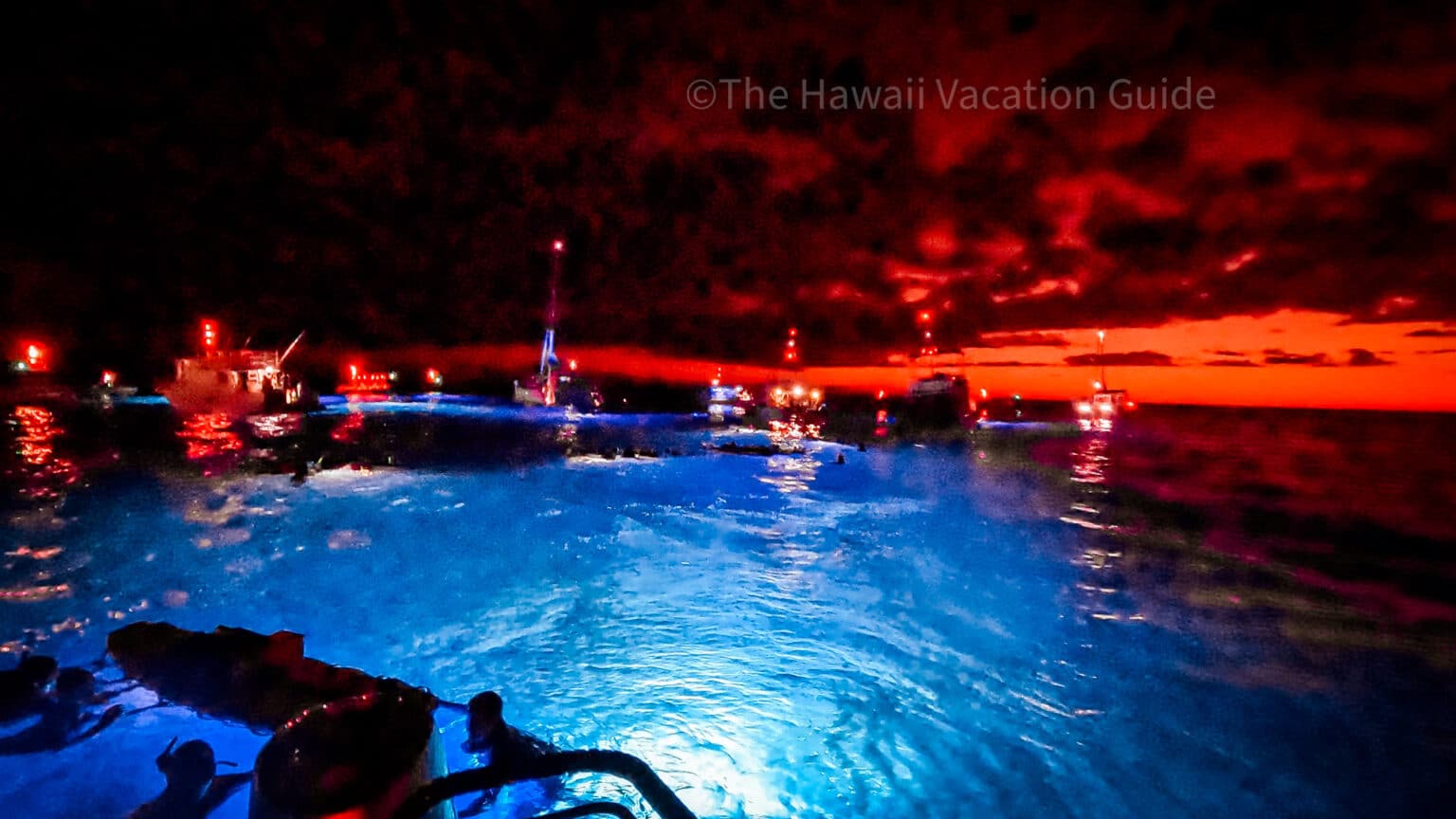 Manta Ray Night Snorkel from Manta Village (small group) - The Hawaii ...