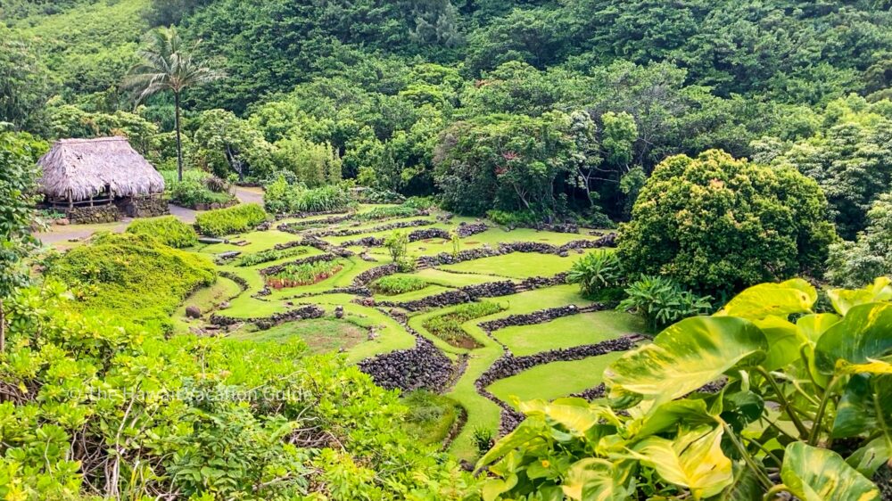 9 Ways to Have an Authentic Hawaiian Experience - The Hawaii Vacation Guide