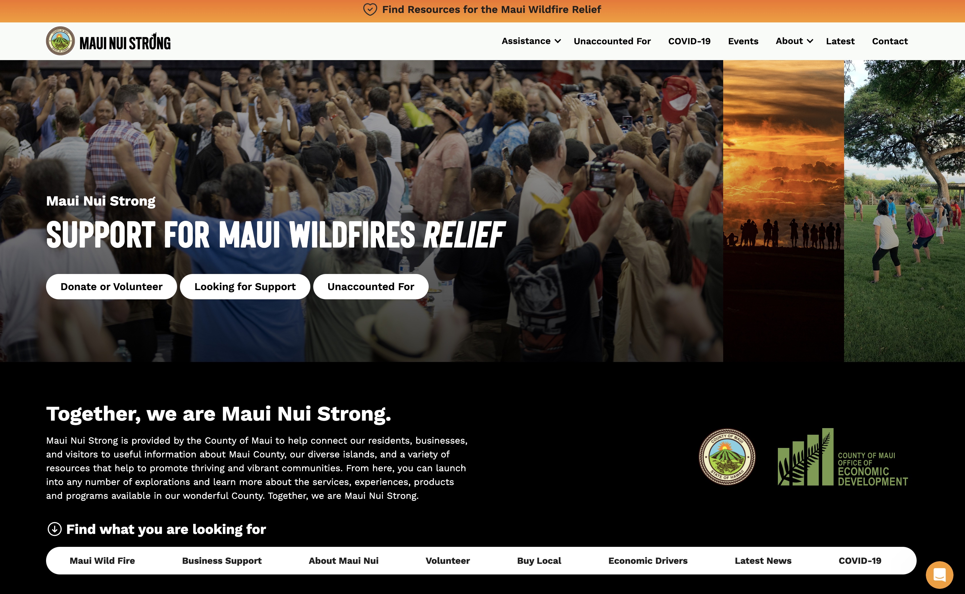 8 Maui Volunteer on Vacation Sign-Ups: Maui Fire Volunteer Events - The ...