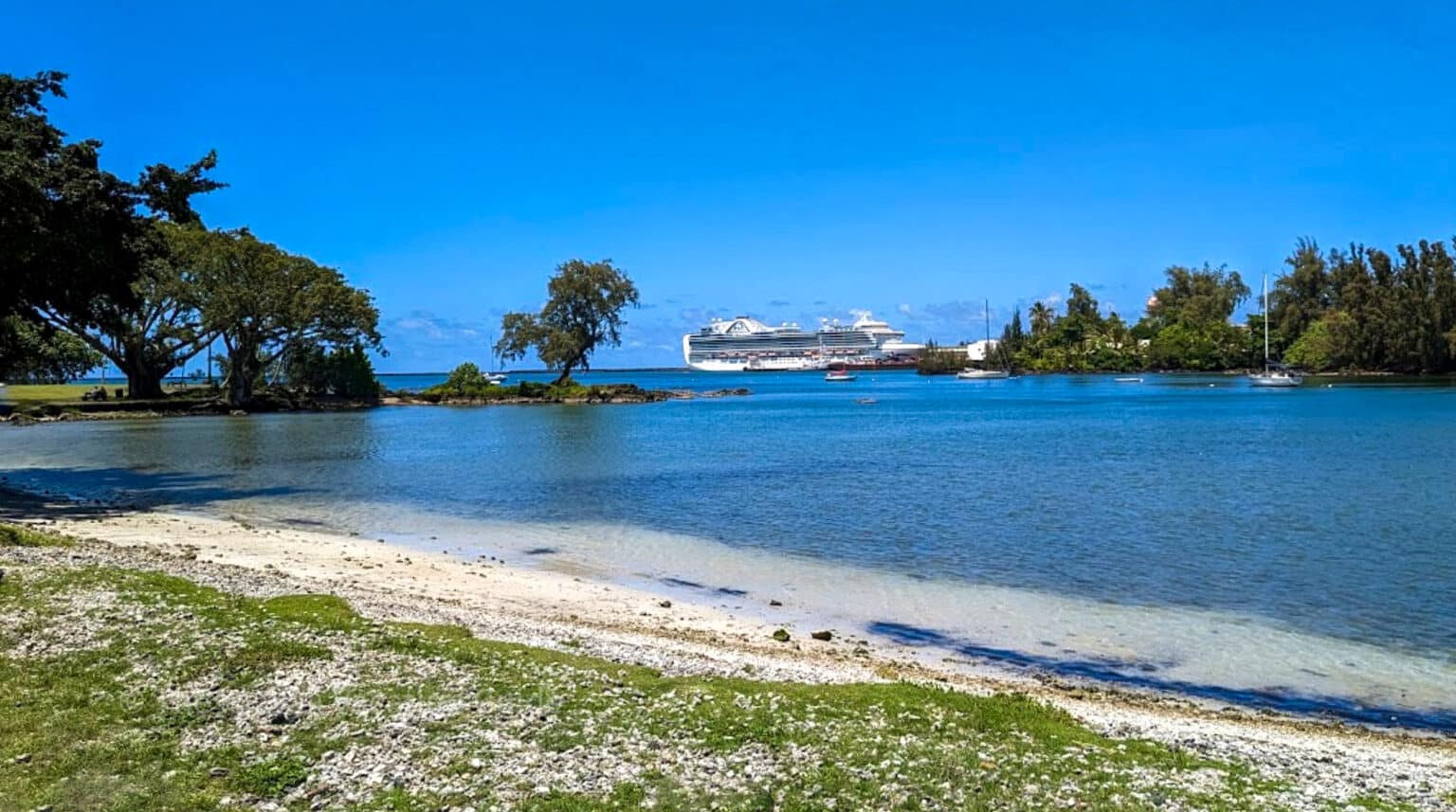 The 9 Best Big Island Snorkeling Tours - The Hawaii Vacation Guide
