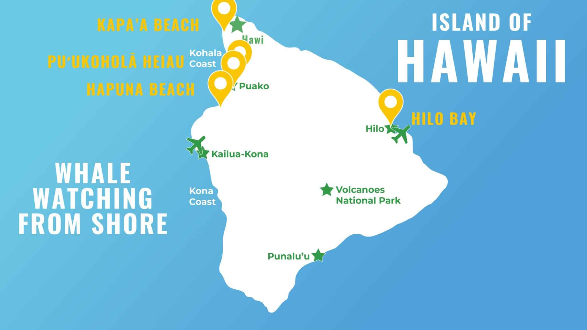Big Island Whale Watching: Best Places to See Whales - The Hawaii ...