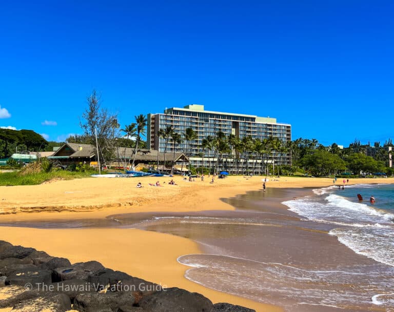 Hawaii in November: Is It the Best Time to Book Your Trip? - The Hawaii ...