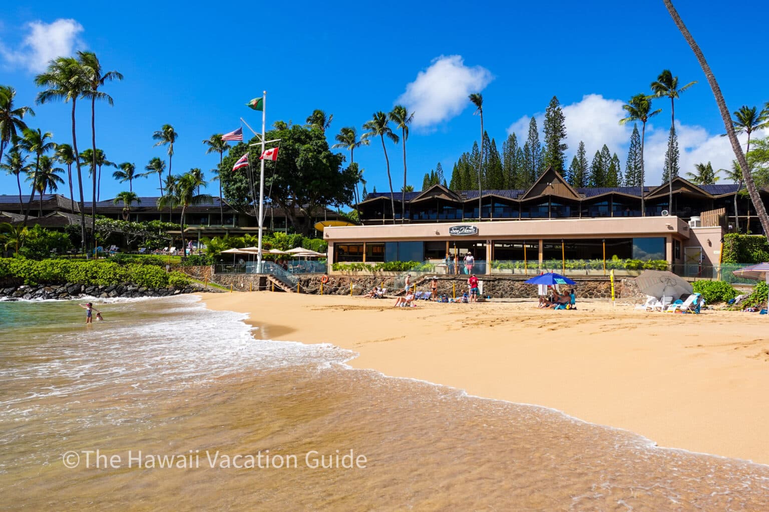 Napili Bay, Maui: Best for Swimming and Sea Turtles
