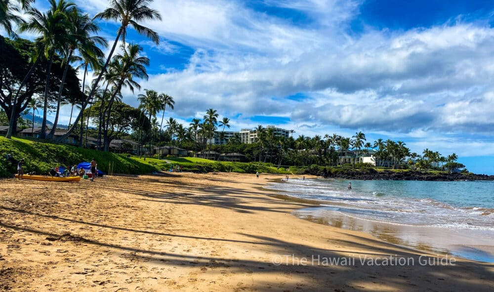 Ulua Beach, Maui: Where to Snorkel with Turtles - The Hawaii Vacation Guide