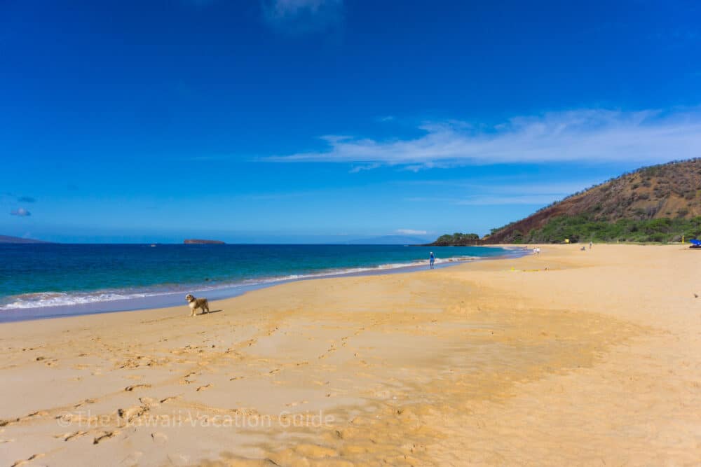Makena Beach, Maui: A Picture Perfect, Resort-Free Beach