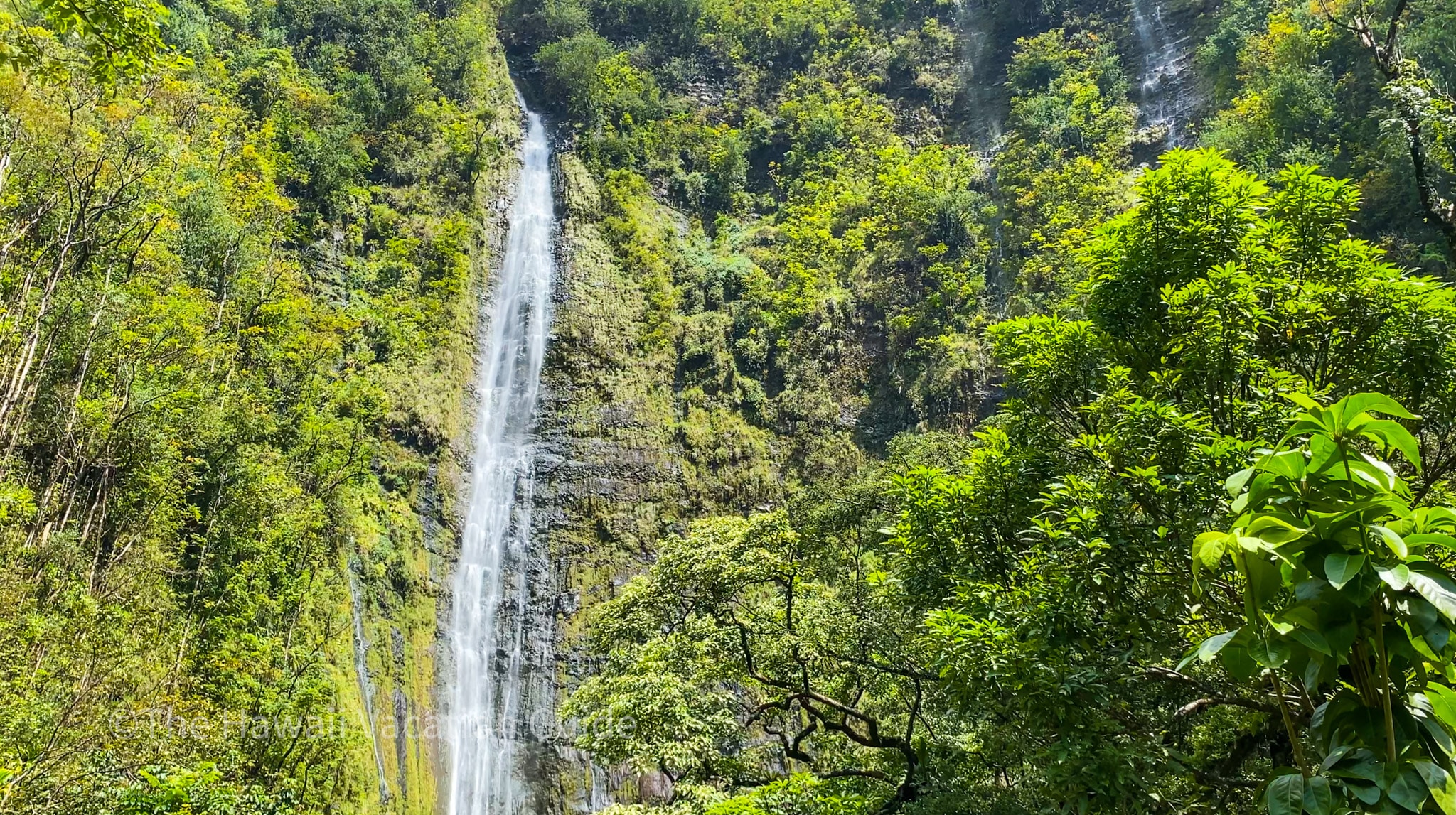 9 Best Maui Waterfalls: On the Road to Hana and Beyond