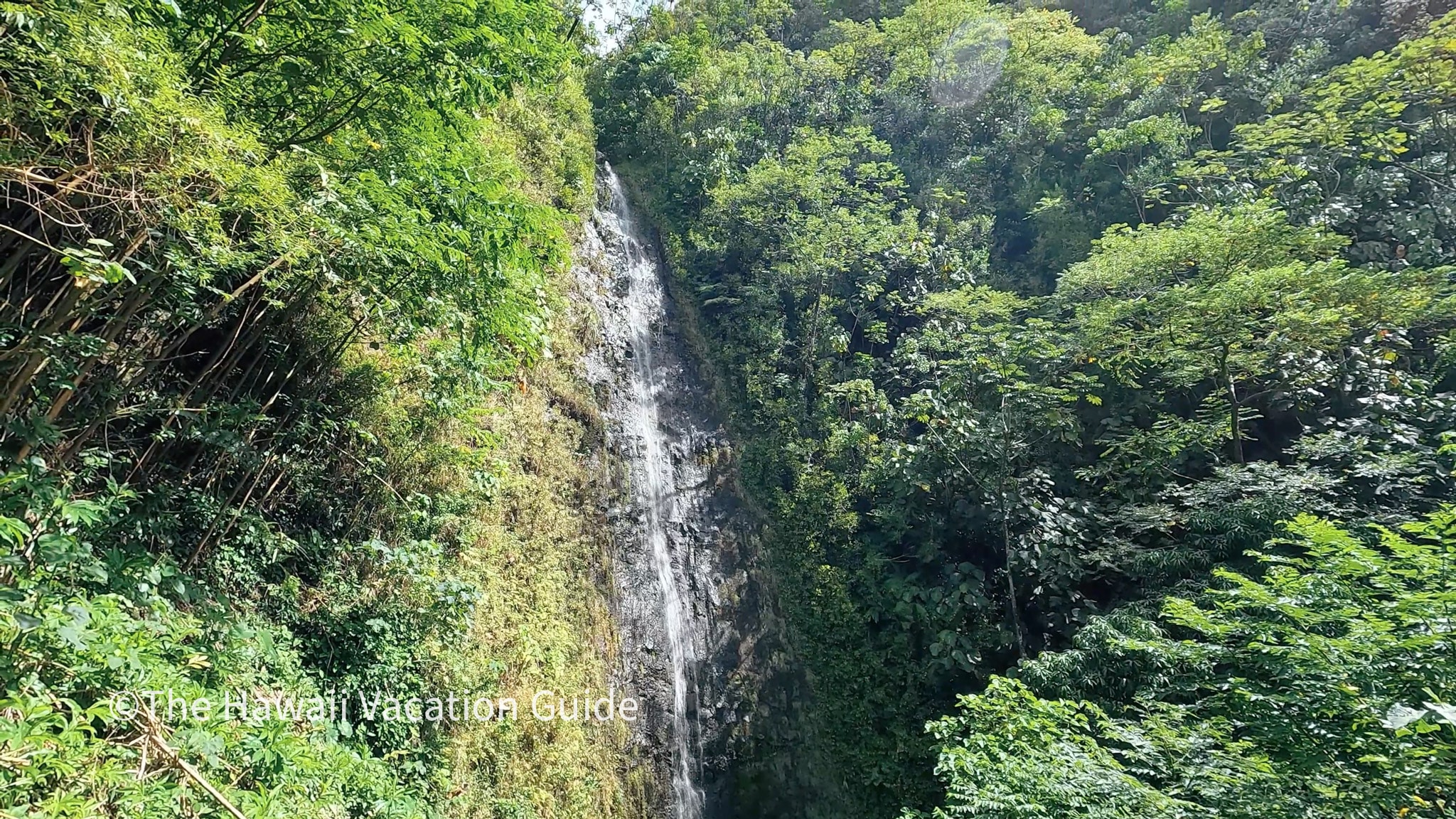 6 Best & Accessible Oahu Waterfalls: swimming, parking, and more