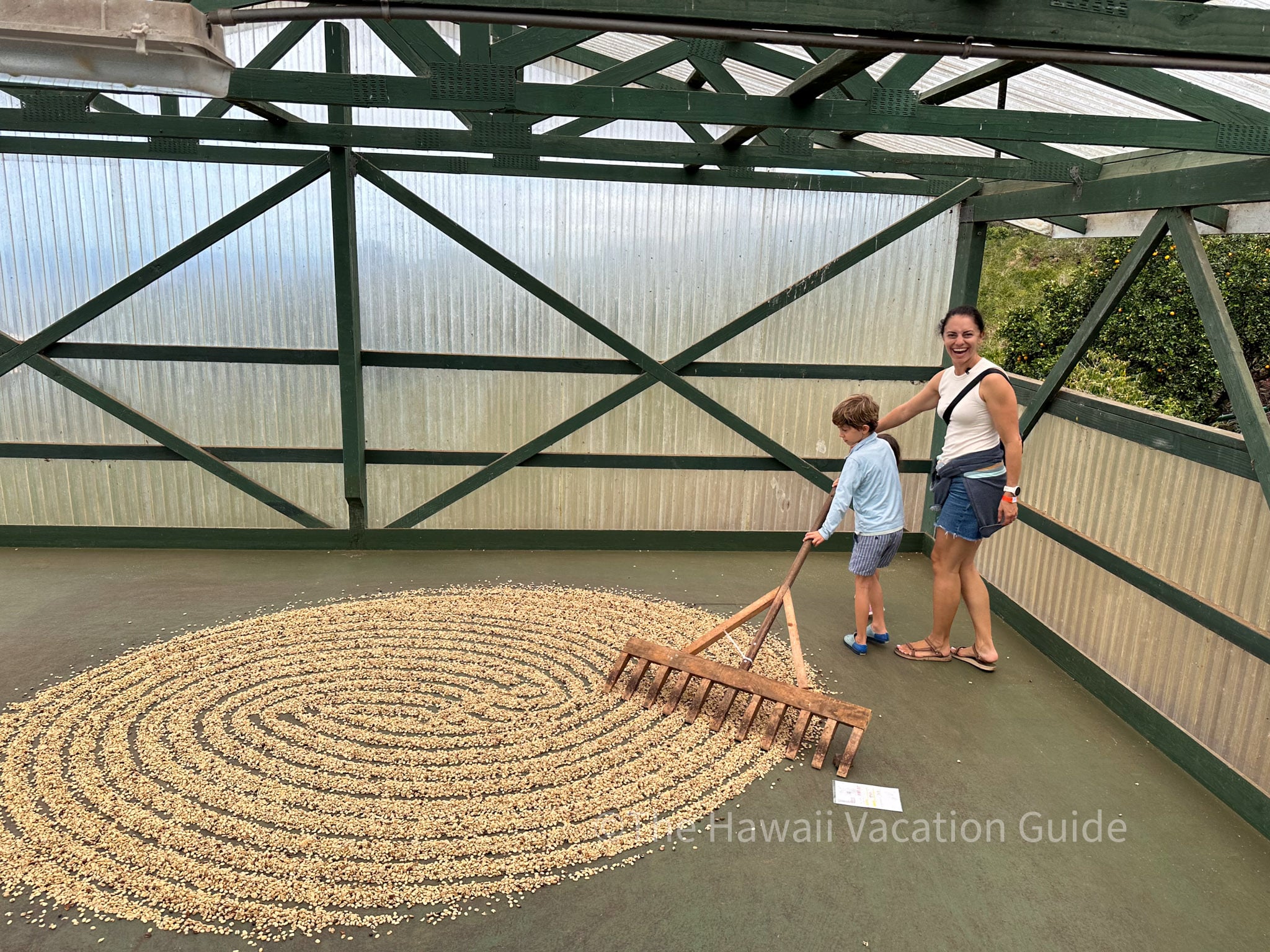 Heavenly Hawaiian Coffee Farm Tour in Kona
