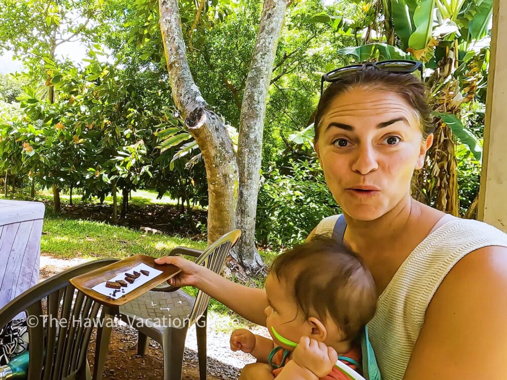 Oahu Farm Tour: Cacao and Honey Tour (tastings!)