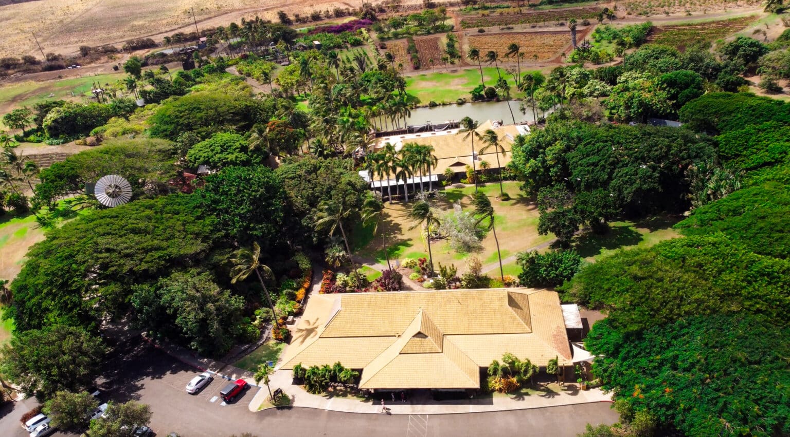 13+ Things to Do in Kahului, Maui: Near the Cruise & Airport