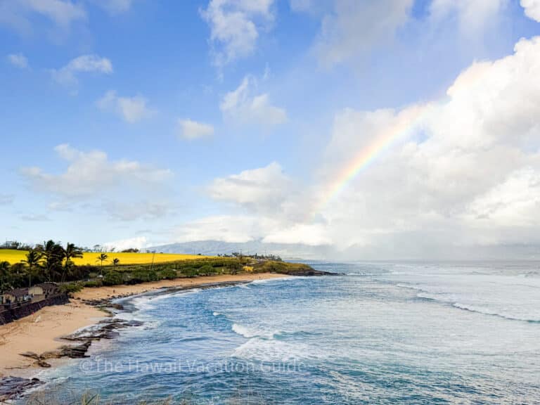 13+ Things to Do in Kahului, Maui: Near the Cruise & Airport